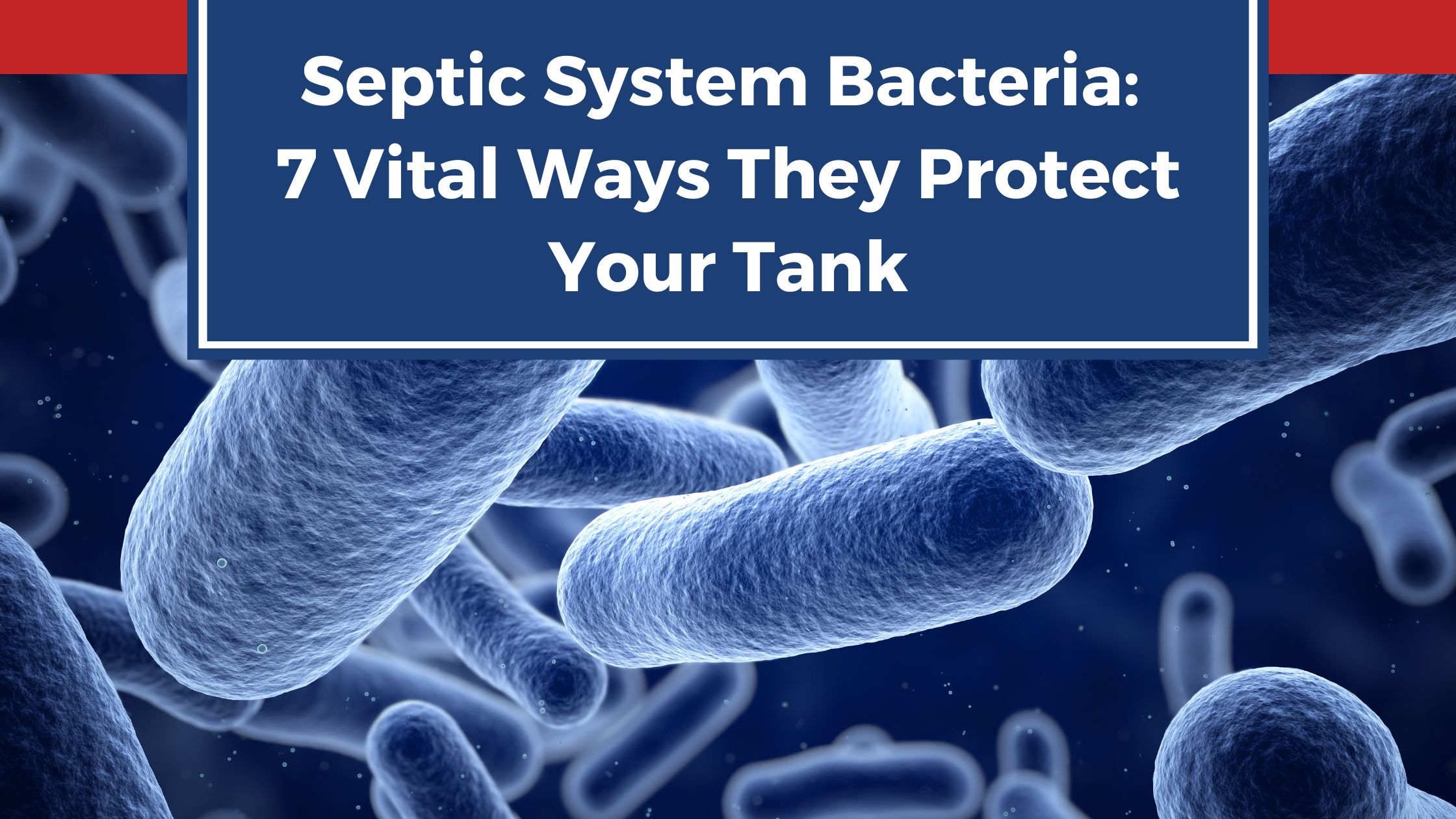 Septic System Bacteria: 7 Vital Ways They Protect Your Tank